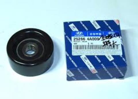 2528825001 Hyundai/Kia ролик приводного ремня паразитный (Правый)