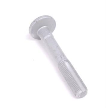 33326863853 BMW болт крепления заднего развального рычага, наружный