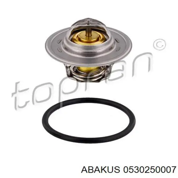 050121113C Vika термостат