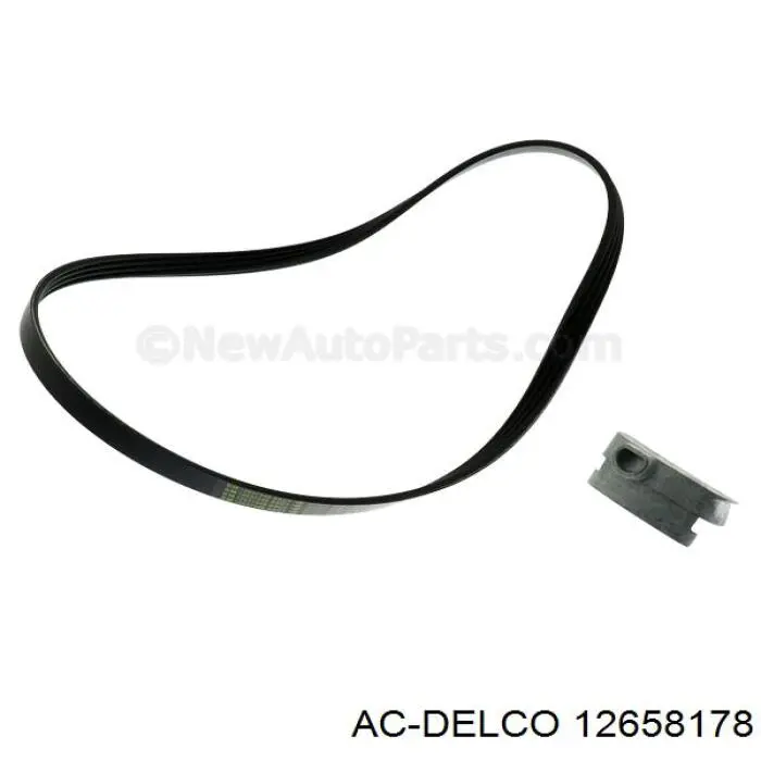 CV6Z8620B Ford ремень агрегатов приводной