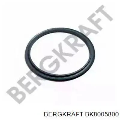0258645800 BPW сальник задней ступицы
