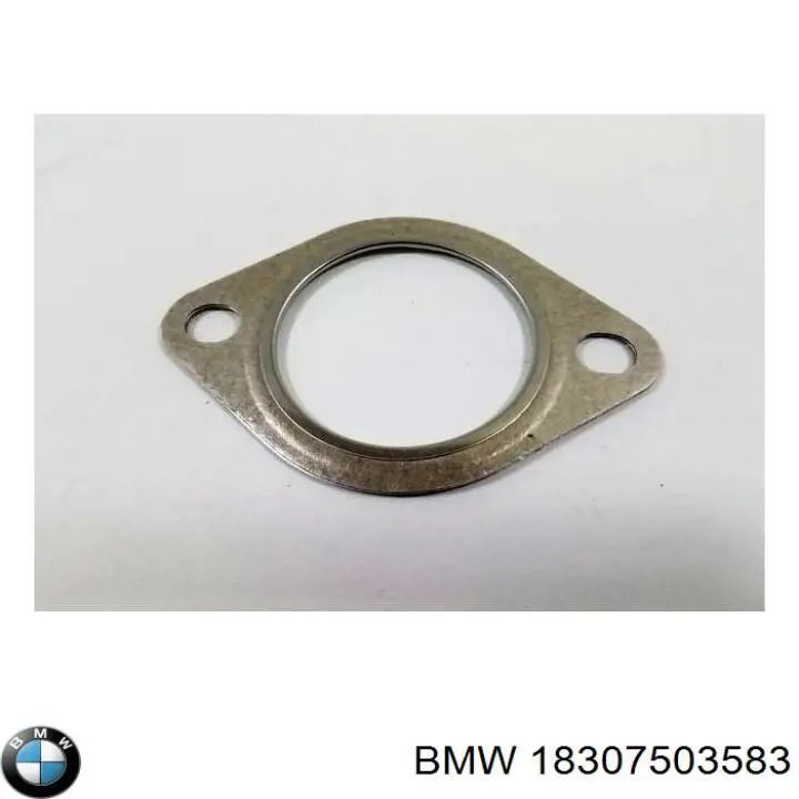 101-949 Georg Fisher прокладка глушителя монтажная