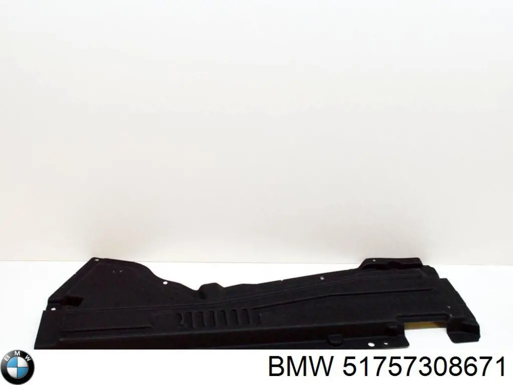 51757308671 BMW защита днища левая