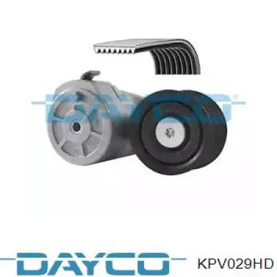 KPV029HD Dayco сравнить цены на Автопро