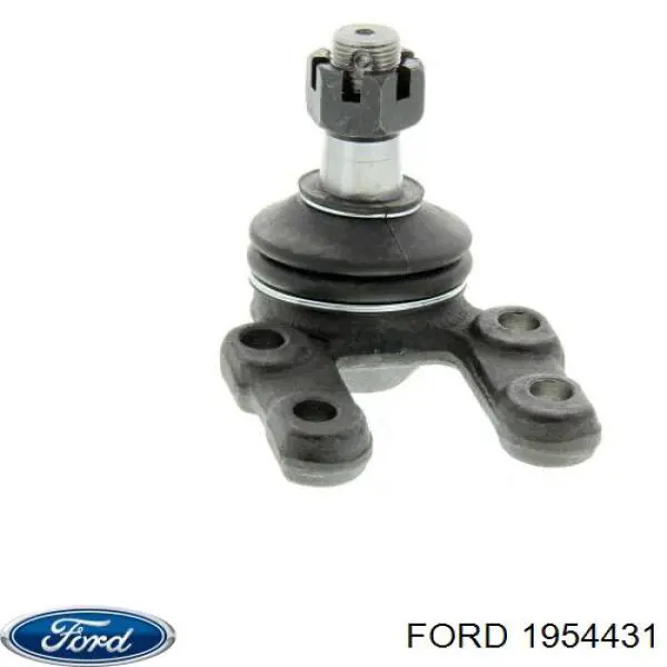 1954431 Ford шаровая опора нижняя