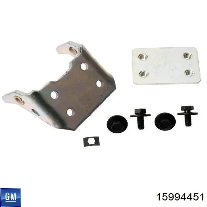 15994451 General Motors hinge kit