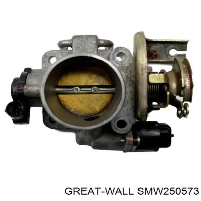 SMW250573 China air throttle