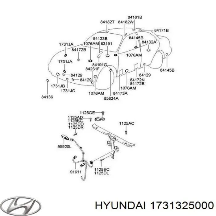 1731325000 Hyundai/Kia Заглушка днища кузова