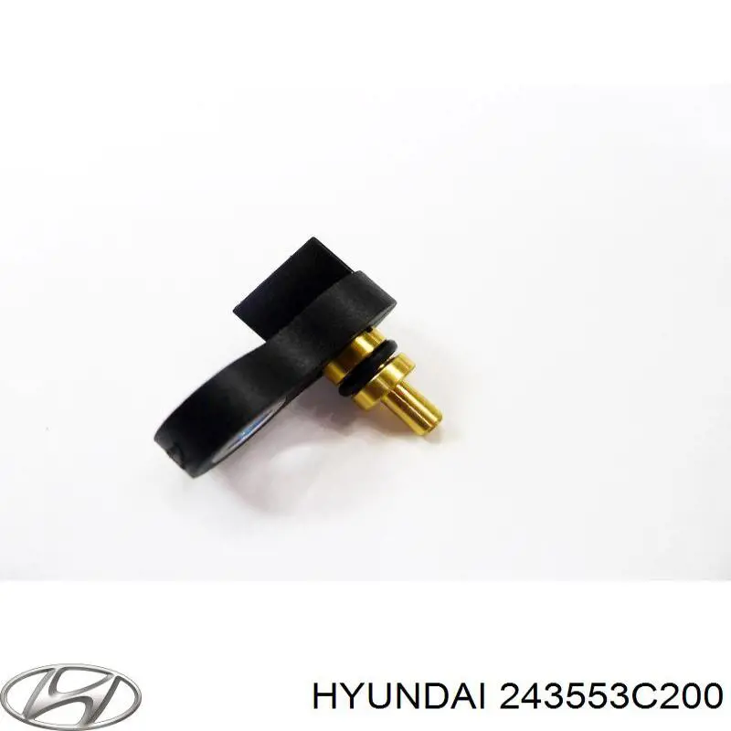 243553C200 Hyundai/Kia Клапан электромагнитный положения (фаз ...