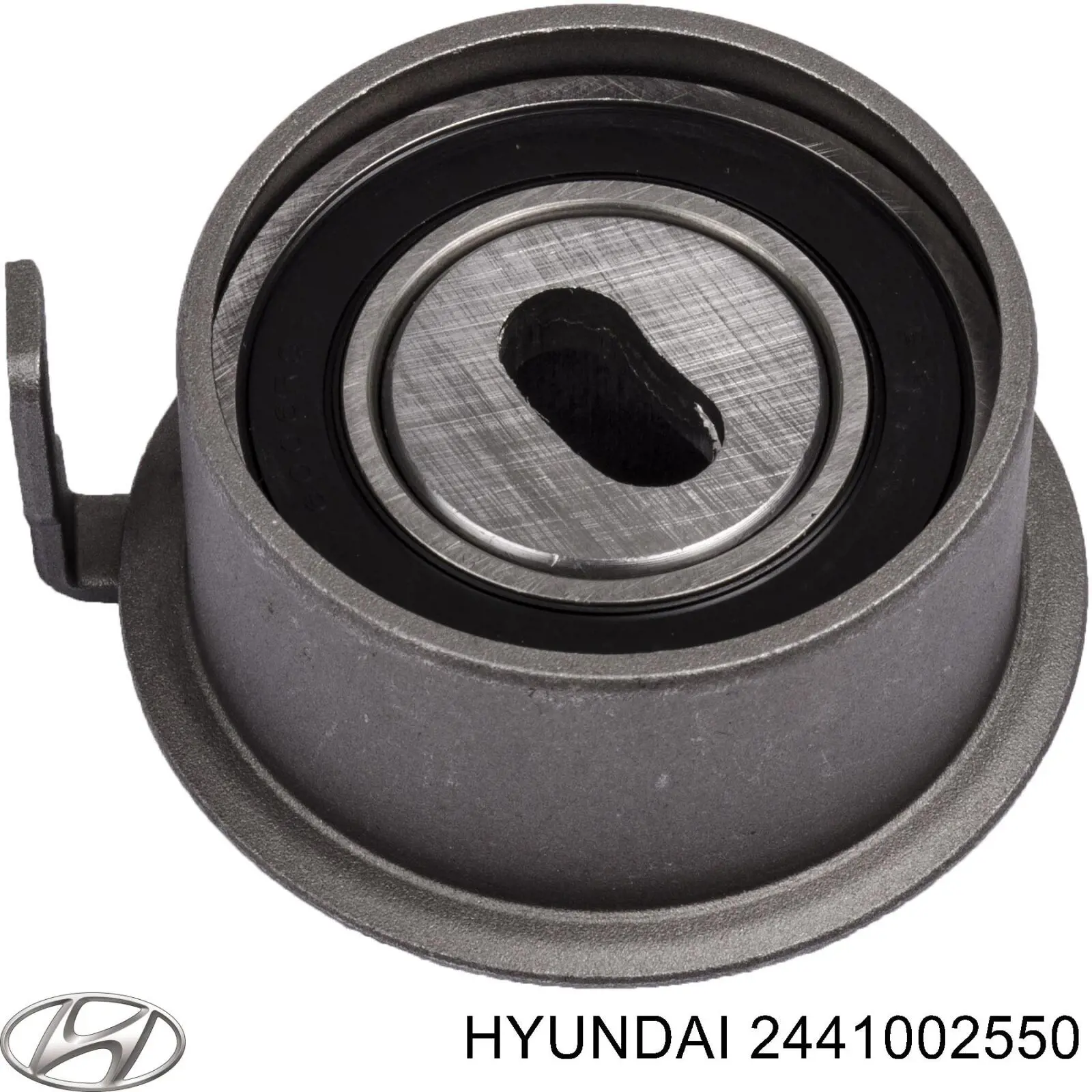 2441002550 Hyundai/Kia Натяжитель ремня ГРМ