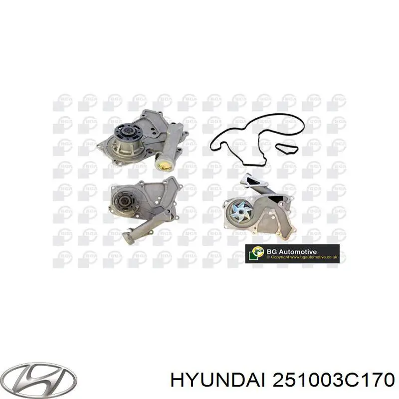 251003C170 Hyundai/Kia помпа водяная (насос охлаждения)