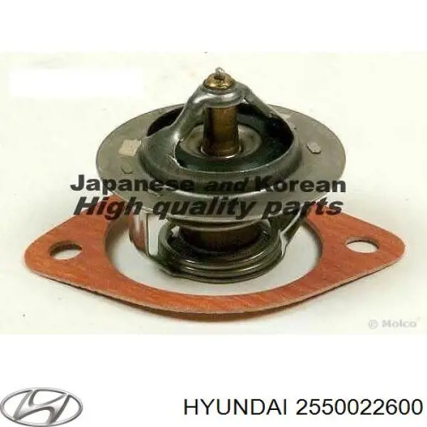 2550022600 Hyundai/Kia термостат