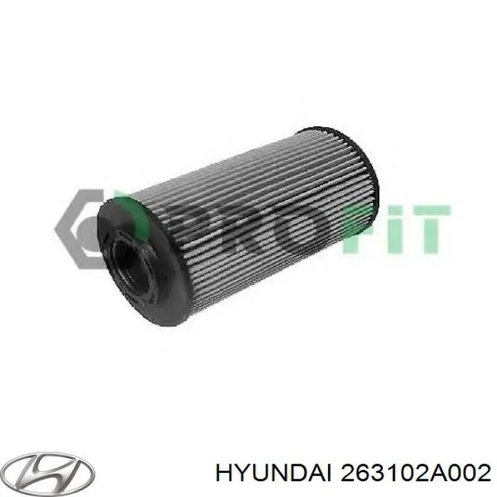 263102A002 Hyundai/Kia Корпус масляного фильтра