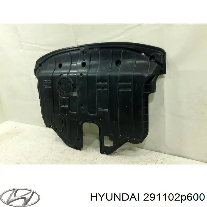 291102P600 Hyundai/Kia защита двигателя, поддона (моторного отсека)