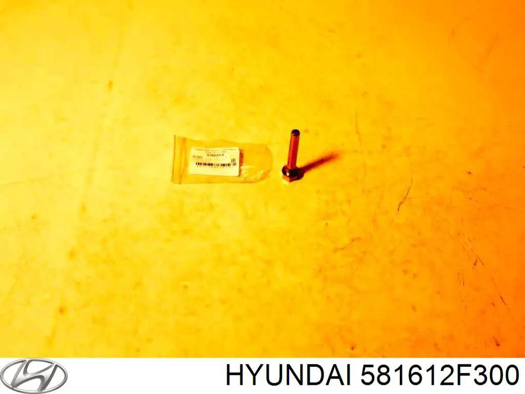 581612F300 Hyundai/Kia Направляющая суппорта переднего нижняя