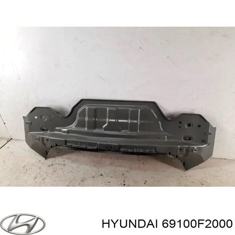 69100F2400 Hyundai/Kia Панель багажного отсека задняя