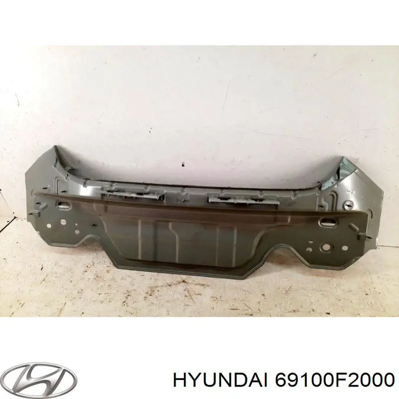 69100F2000 Hyundai/Kia Панель багажного отсека задняя