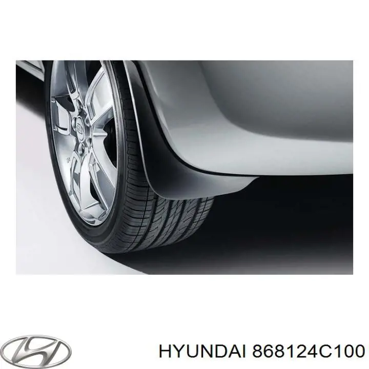 868124C100 Hyundai/Kia сравнить цены на Автопро
