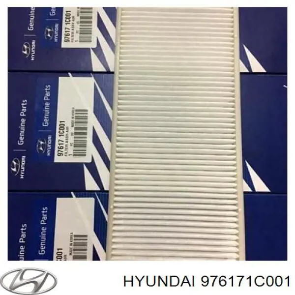 976171C001 Hyundai/Kia Фильтр салона