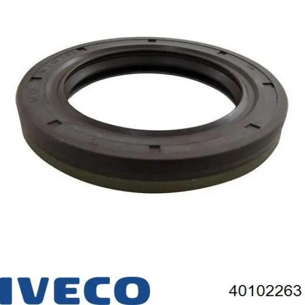 7185870 Iveco Сальник хвостовика редуктора заднего моста