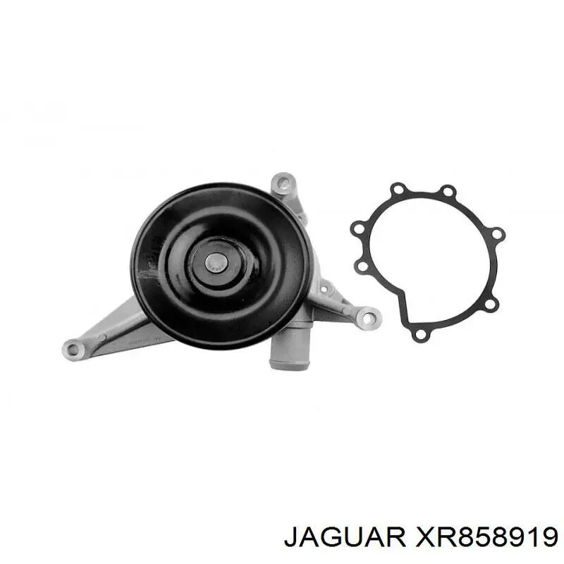 XR858919 Jaguar помпа водяная (насос охлаждения)