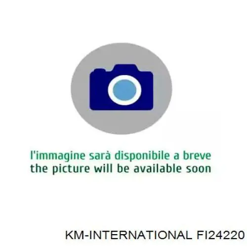 FI24220 KM International шкив коленвала