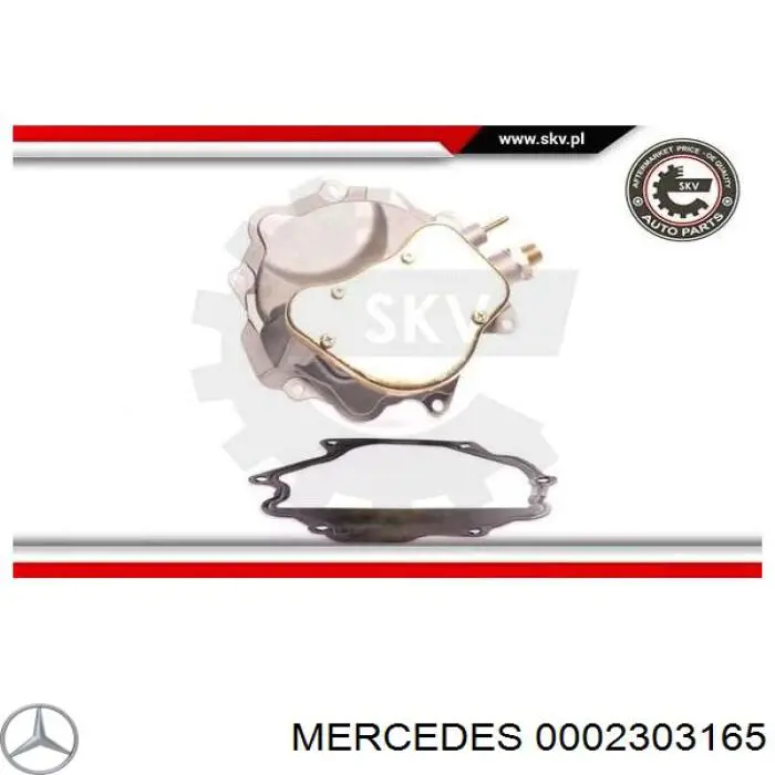 0002303165 Mercedes | Насос вакуумный 000 230 31 65 купить на Avto.pro