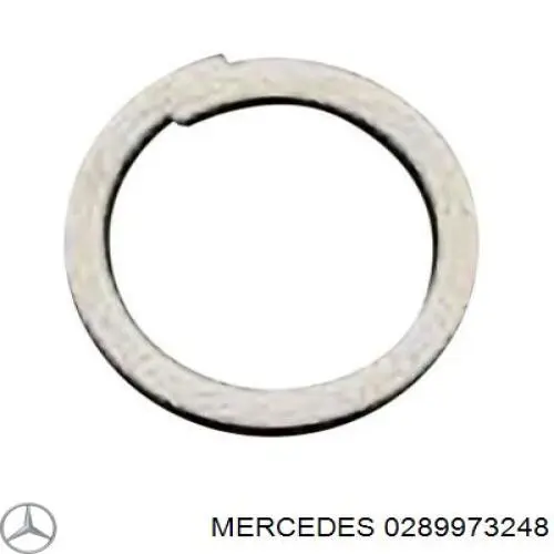 0289973248 Mercedes сальник
