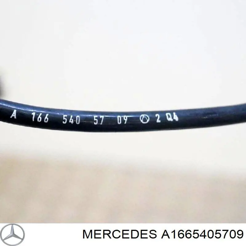 A1665405709 Mercedes электропроводка автомобиля