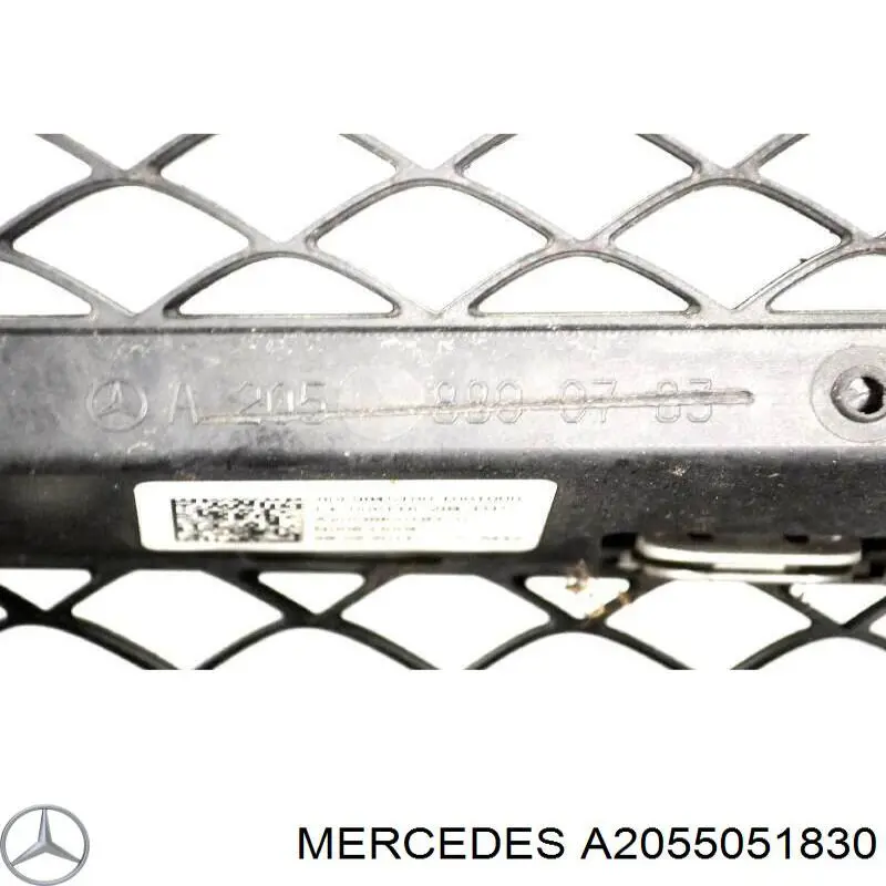 A2055051830 Mercedes дефлектор радиатора