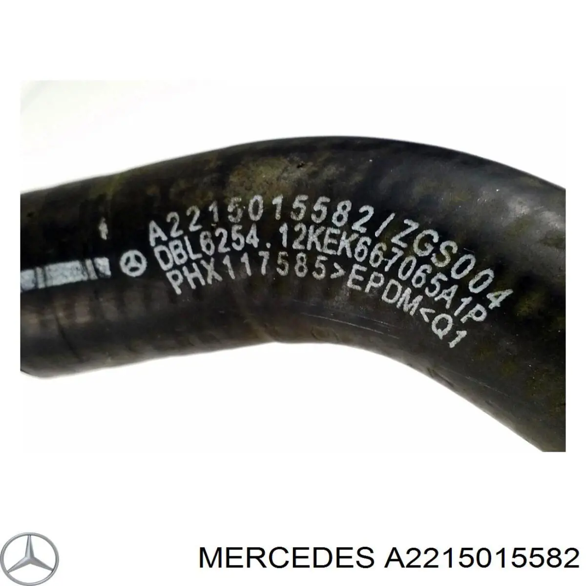 A2215015582 Mercedes | Шланг (патрубок радиатора охлаждения нижний) A ...