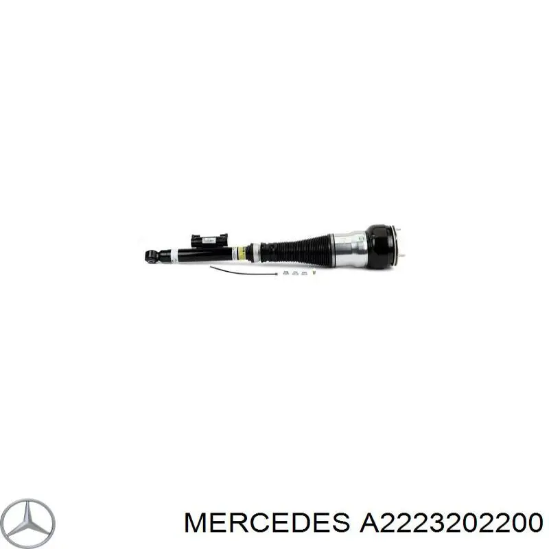 A2223202200 Mercedes | Амортизатор передний правый A2223202200 купить ...