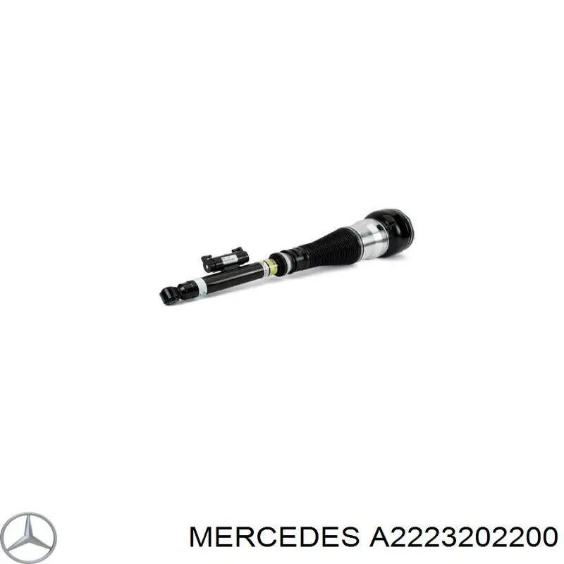 A2223202200 Mercedes | Амортизатор передний правый A2223202200 купить ...