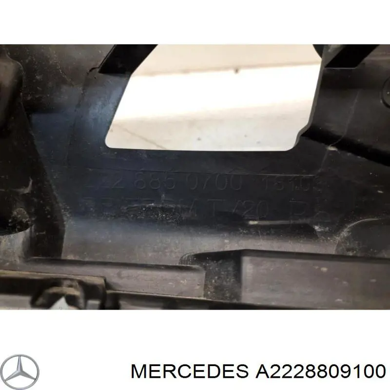 A2228809100 Mercedes bартiсть з доставкою окрiм габариту