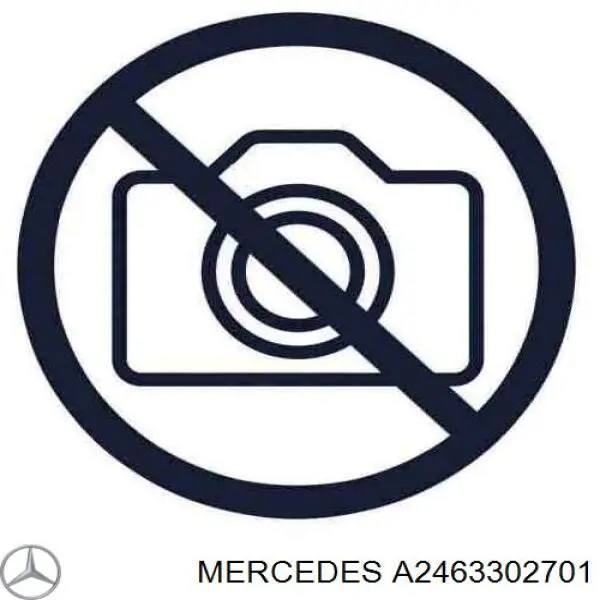 A2463302701 Mercedes | купить на Avto.pro