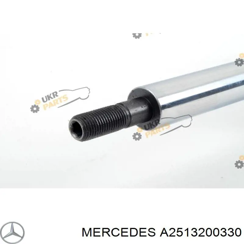 A2513200330 Mercedes амортизатор передний