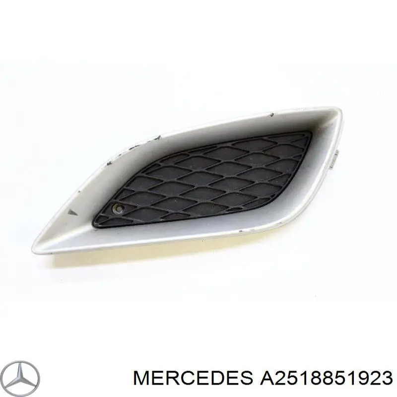 A2518851923 Mercedes | купить на Avto.pro