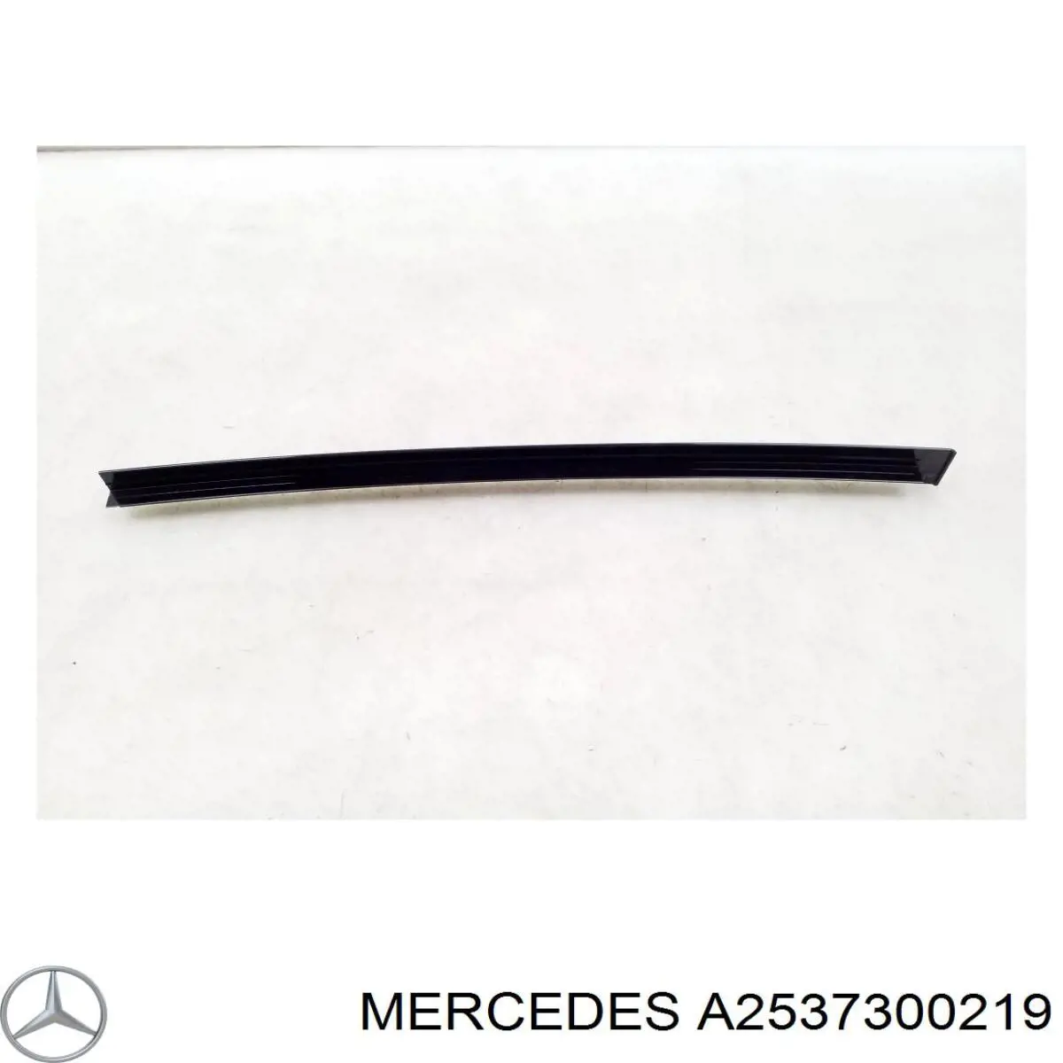 A2537300219 Mercedes | купить на Avto.pro