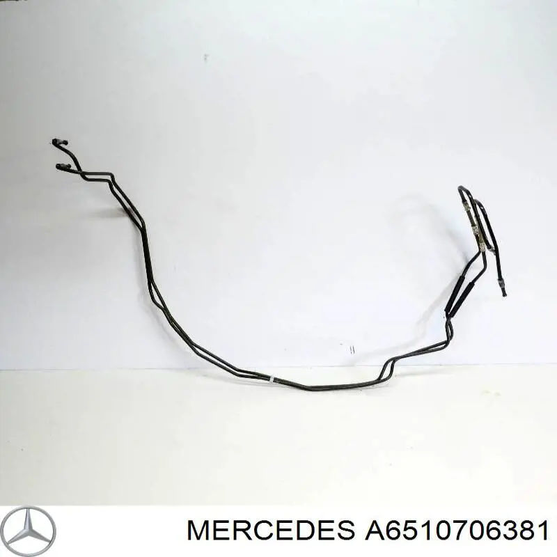 A6510705781 Mercedes заменено на a6510706381