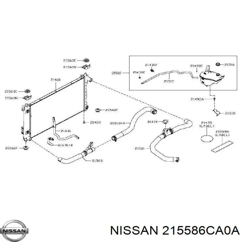 215586CA0A Nissan кожух вентилятора радиатора охлаждения