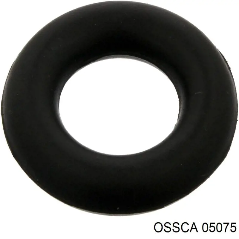 Ossca