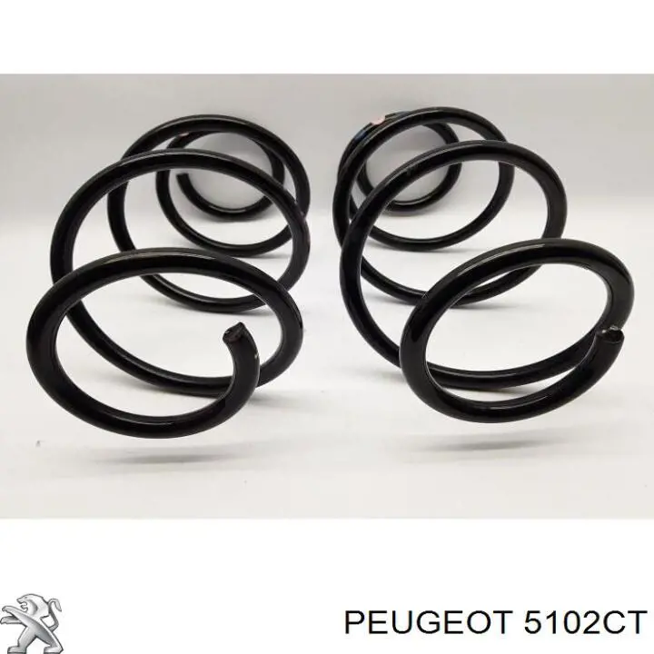 5102CT Peugeot/Citroen пружина citroen c3 ds3;h;b3