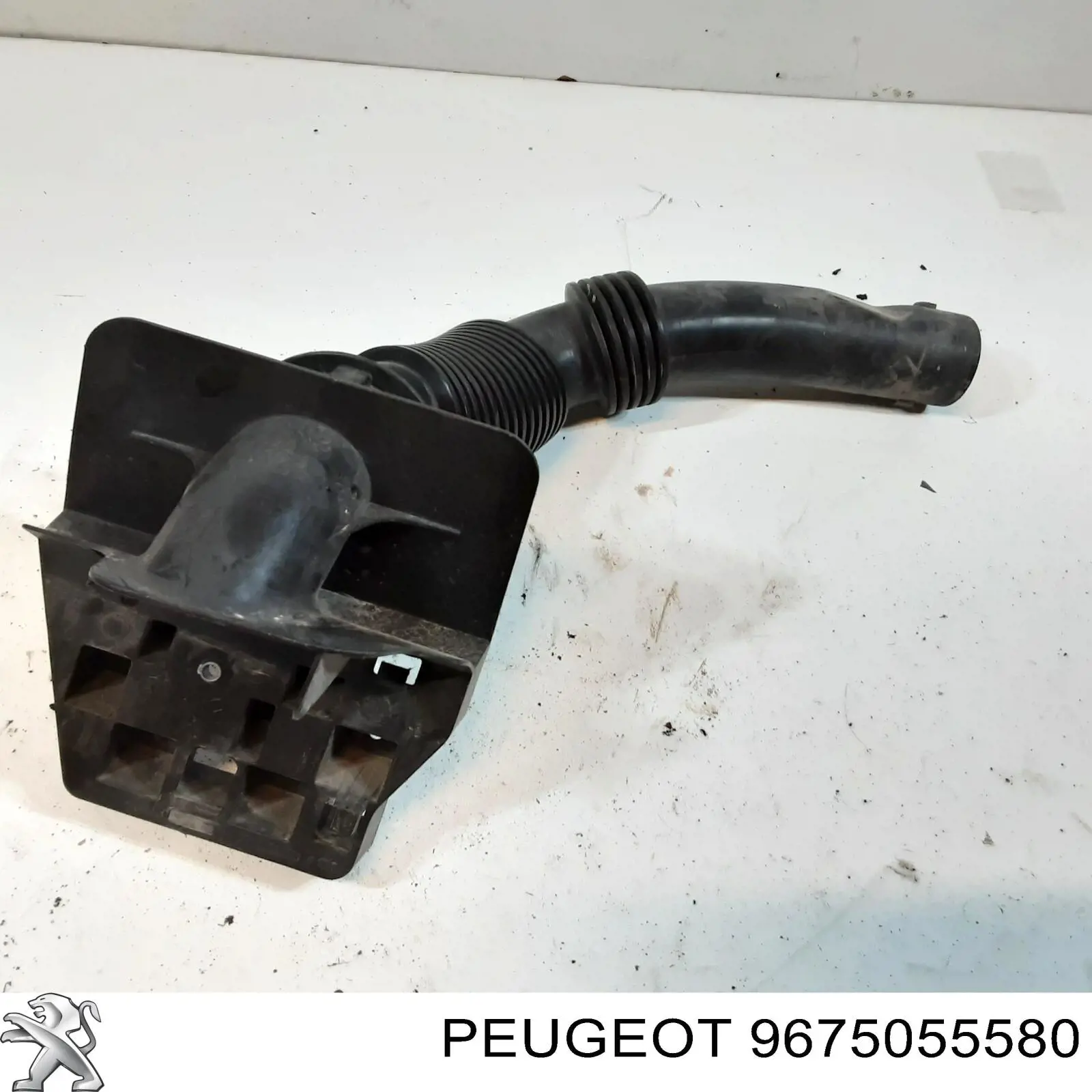 9675055580 Peugeot/Citroen сравнить цены на Автопро