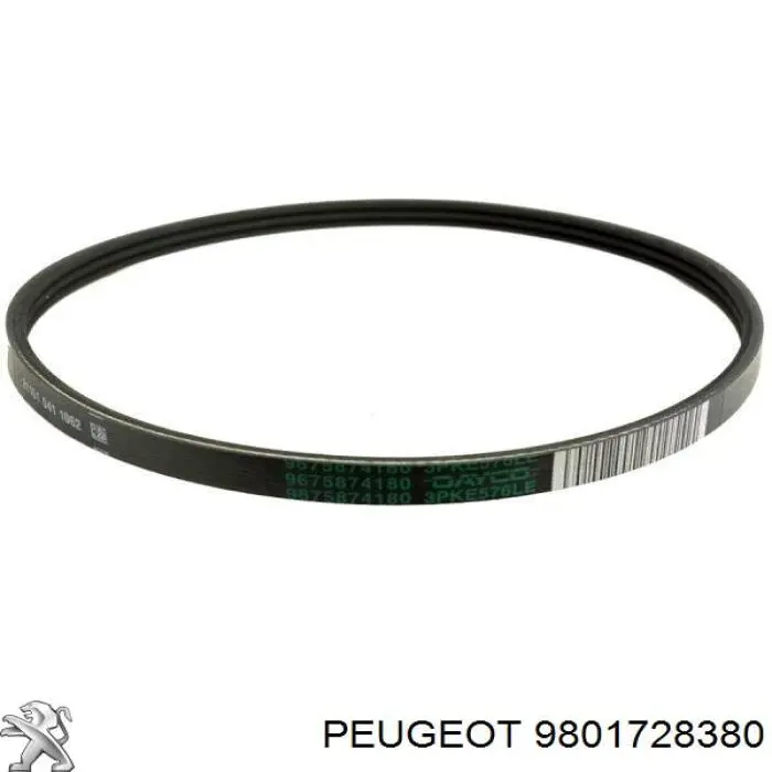 9801728380 Peugeot/Citroen прокладка насоса