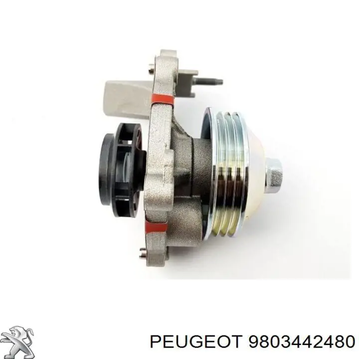 9803442480 Peugeot/Citroen помпа водяная