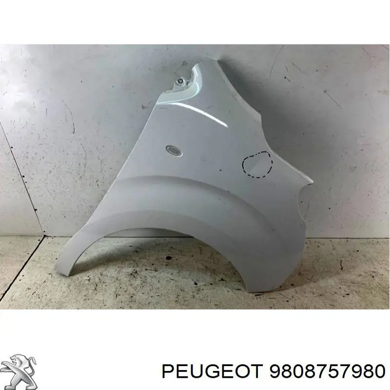 9808757980 Peugeot/Citroen Крыло переднее правое