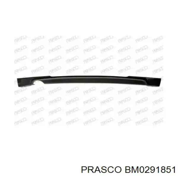 51128054197 BMW новая оригинальная запчасть под заказ