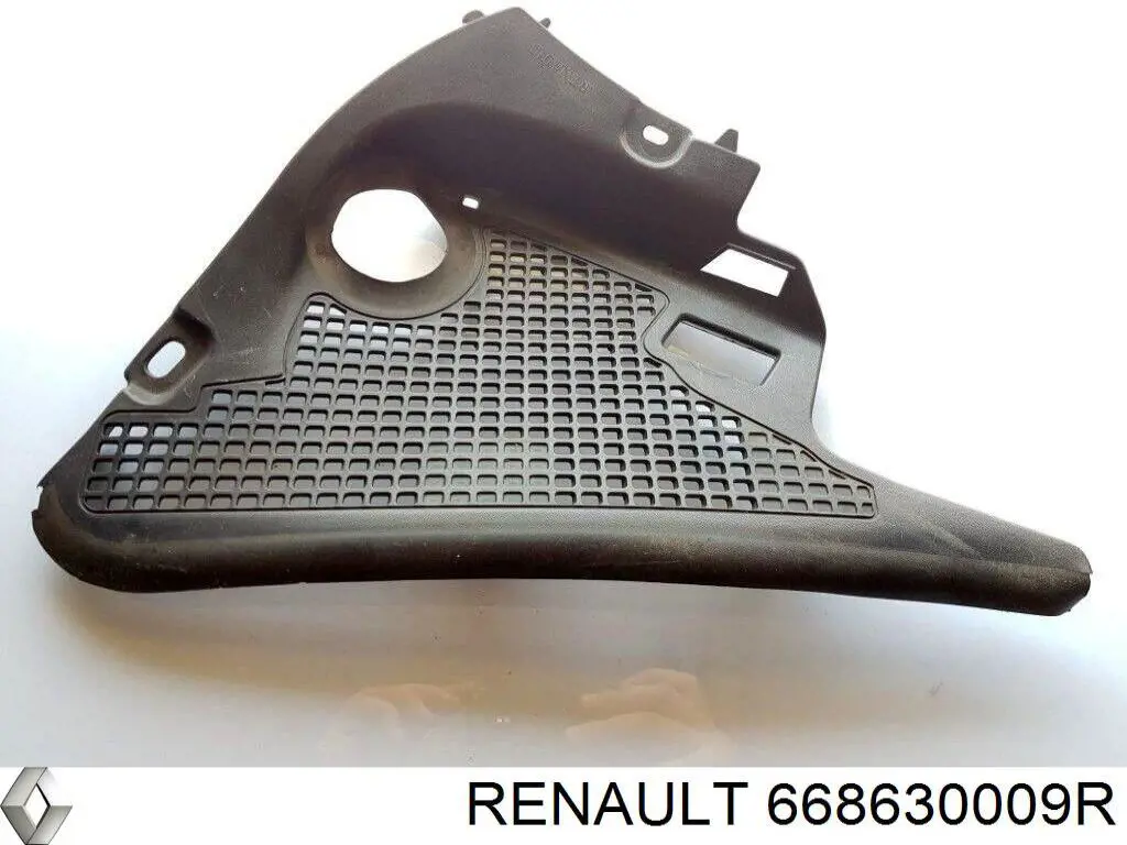 668630009R Renault (RVI) Водосток лобового стекла, жабо