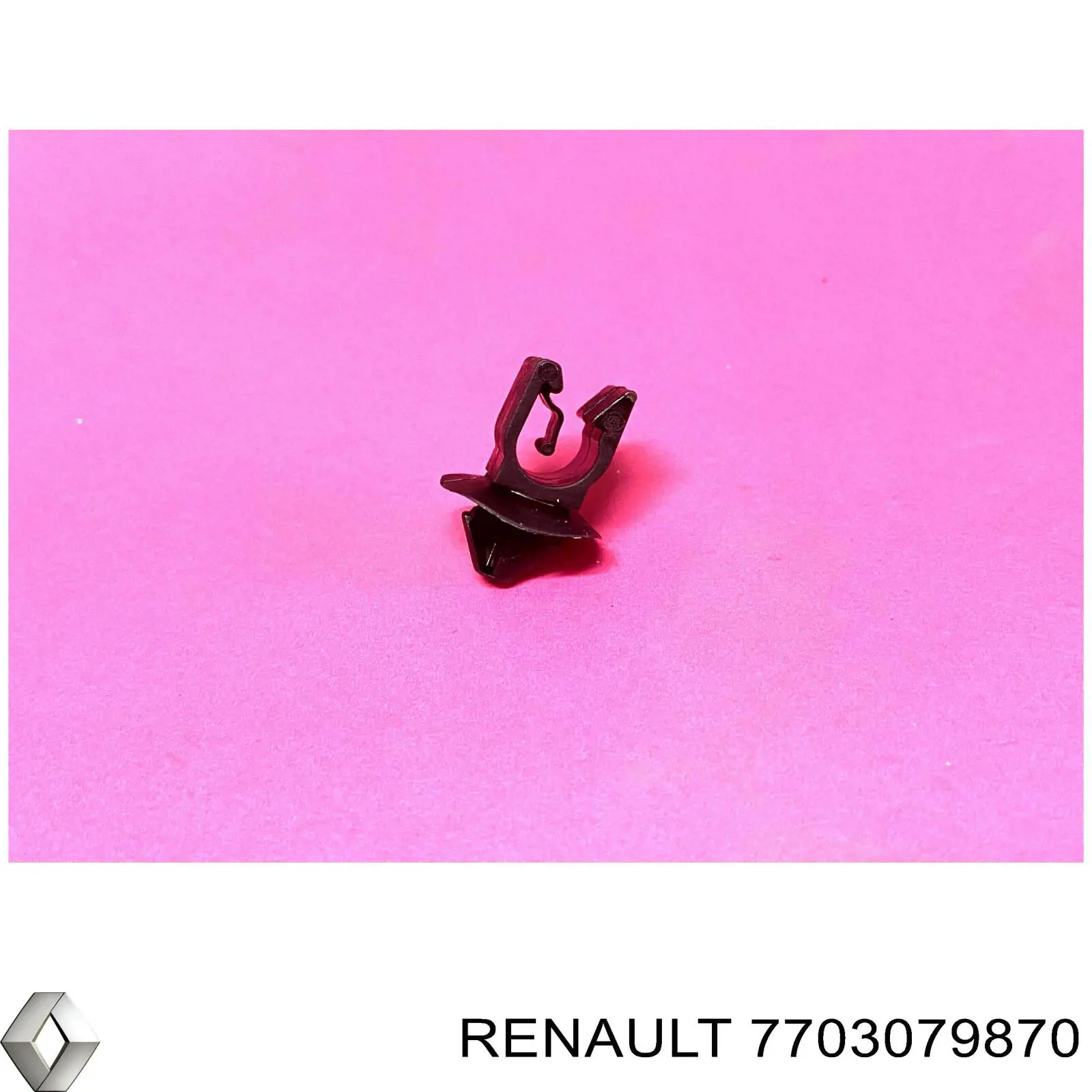 Зажим топливной трубки Рено Лагуна 2 купить в Украине | Автопро