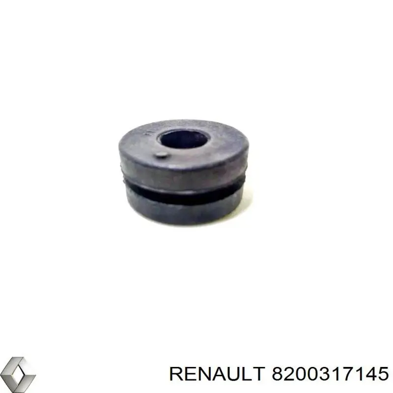 8200317145 Renault (RVI) Пружина клапана